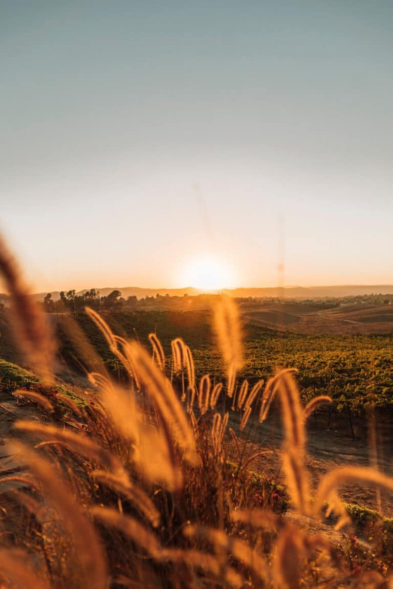 A First Timer's Guide: 21 Cool Things to do in Temecula - Live Like It ...