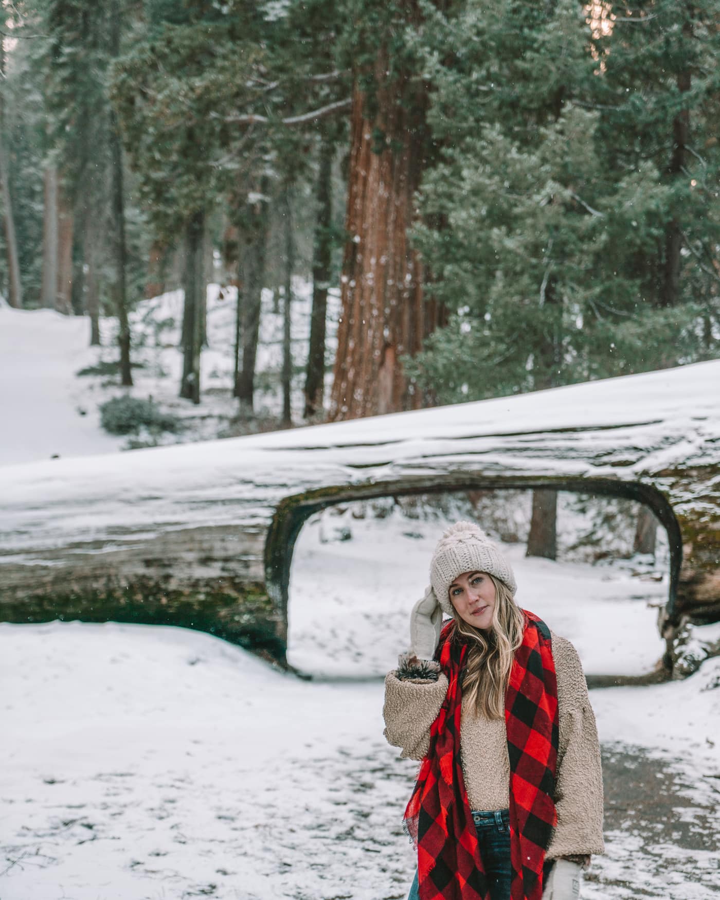 What to Know Before Visiting Sequoia National Park in Winter