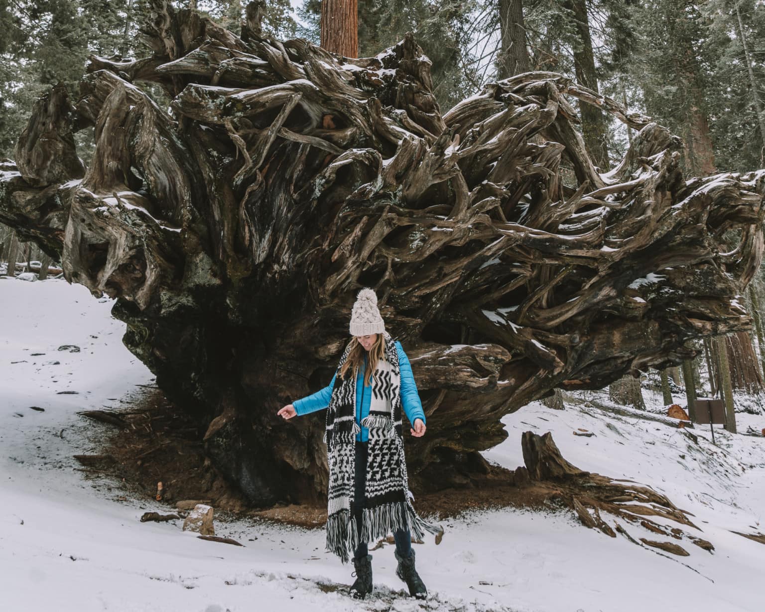 Everything You Need to Know Before Visiting Sequoia National Park in ...
