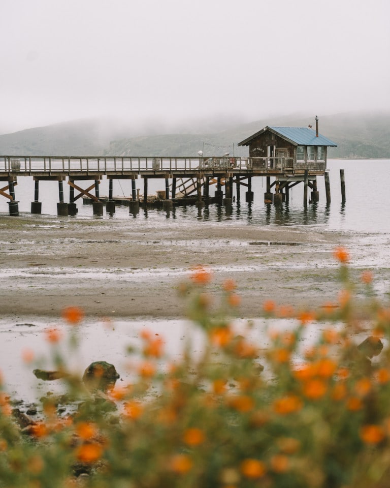 California in Spring: All the Best Places to Visit - Live Like It's the ...