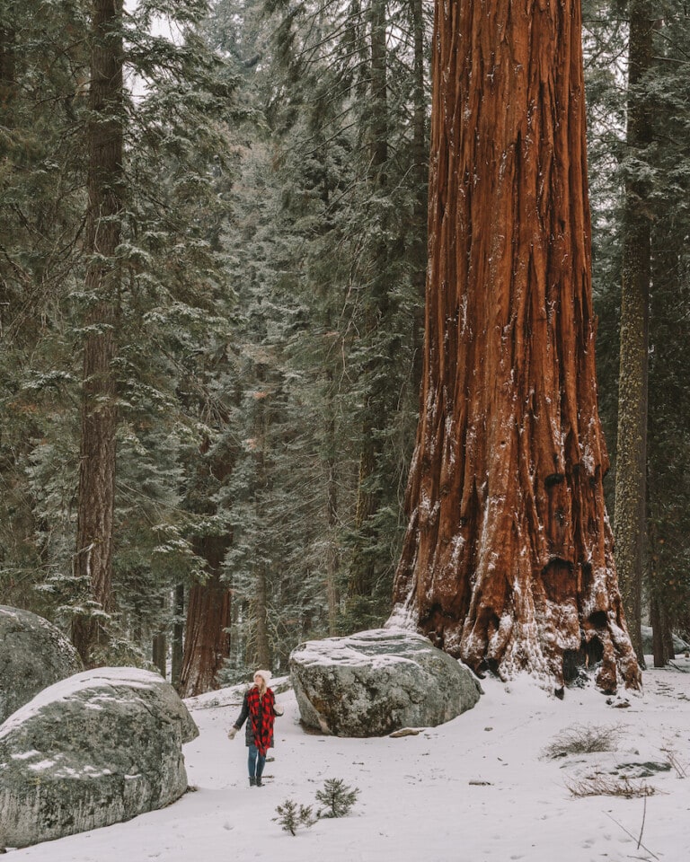 11 Awesome Places to Visit in California in Winter - Live Like It's the ...
