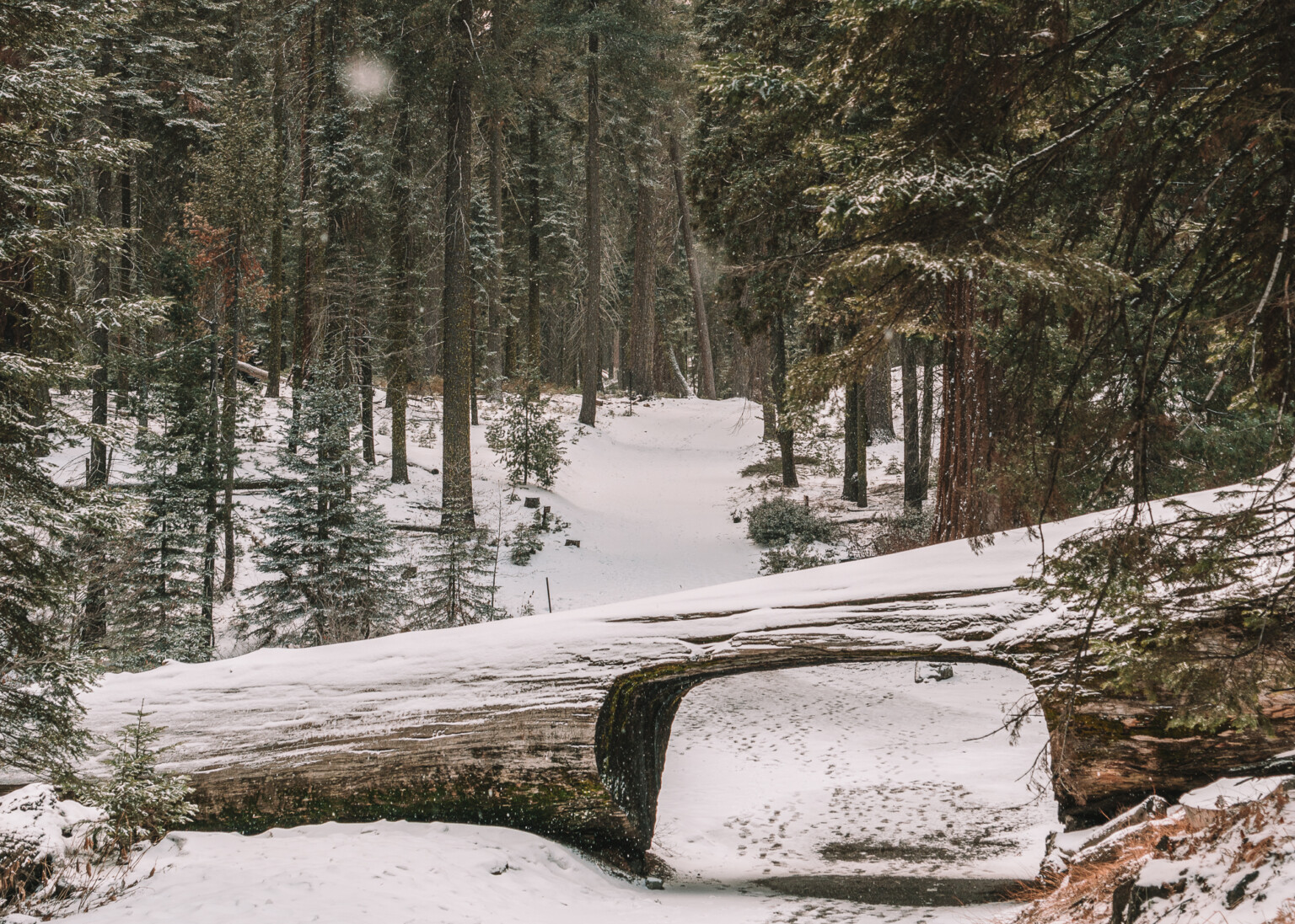 11 Awesome Places to Visit in California in Winter - Live Like It's the ...