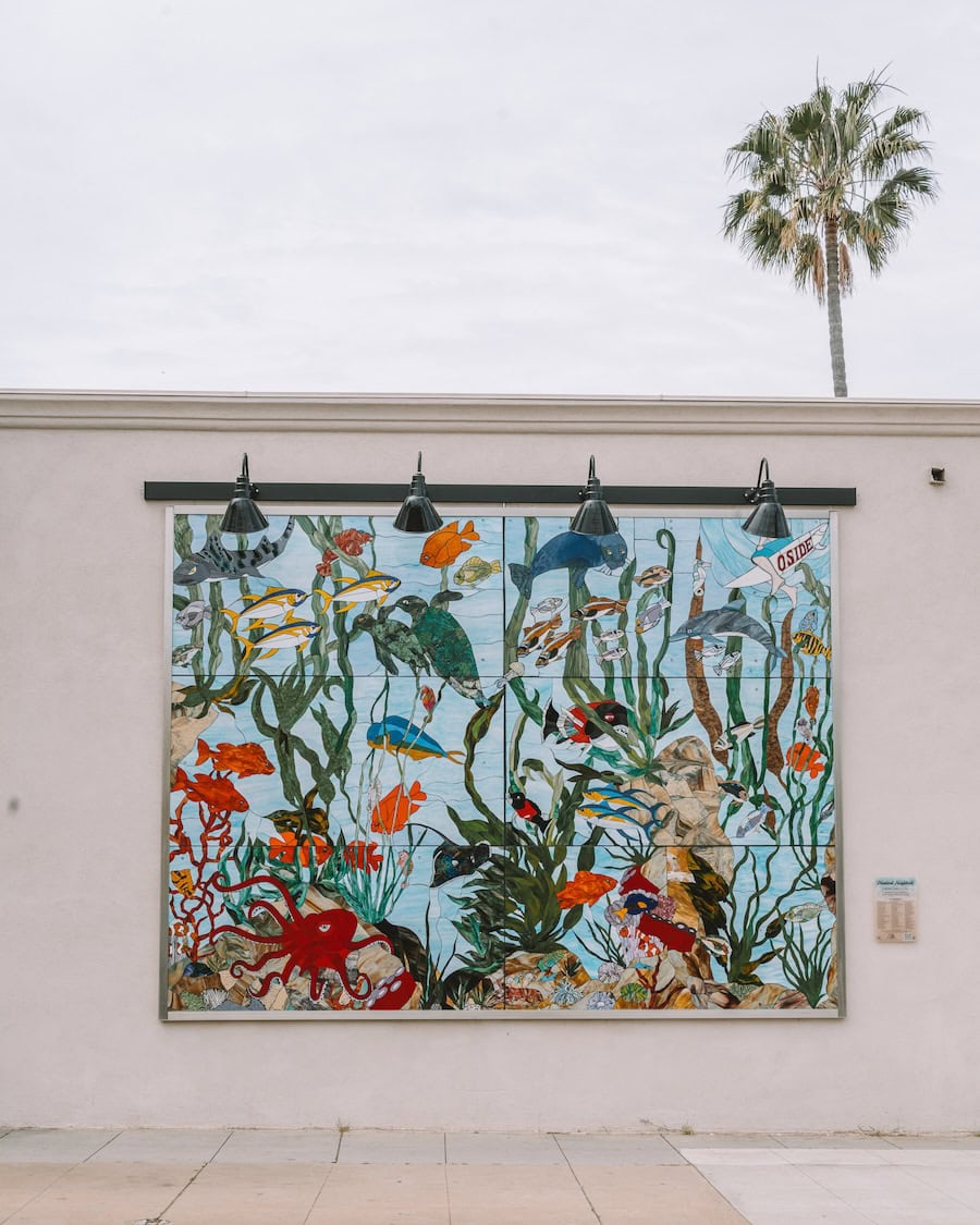 Things to Do in Oceanside, California: Conscious Traveler's Guide