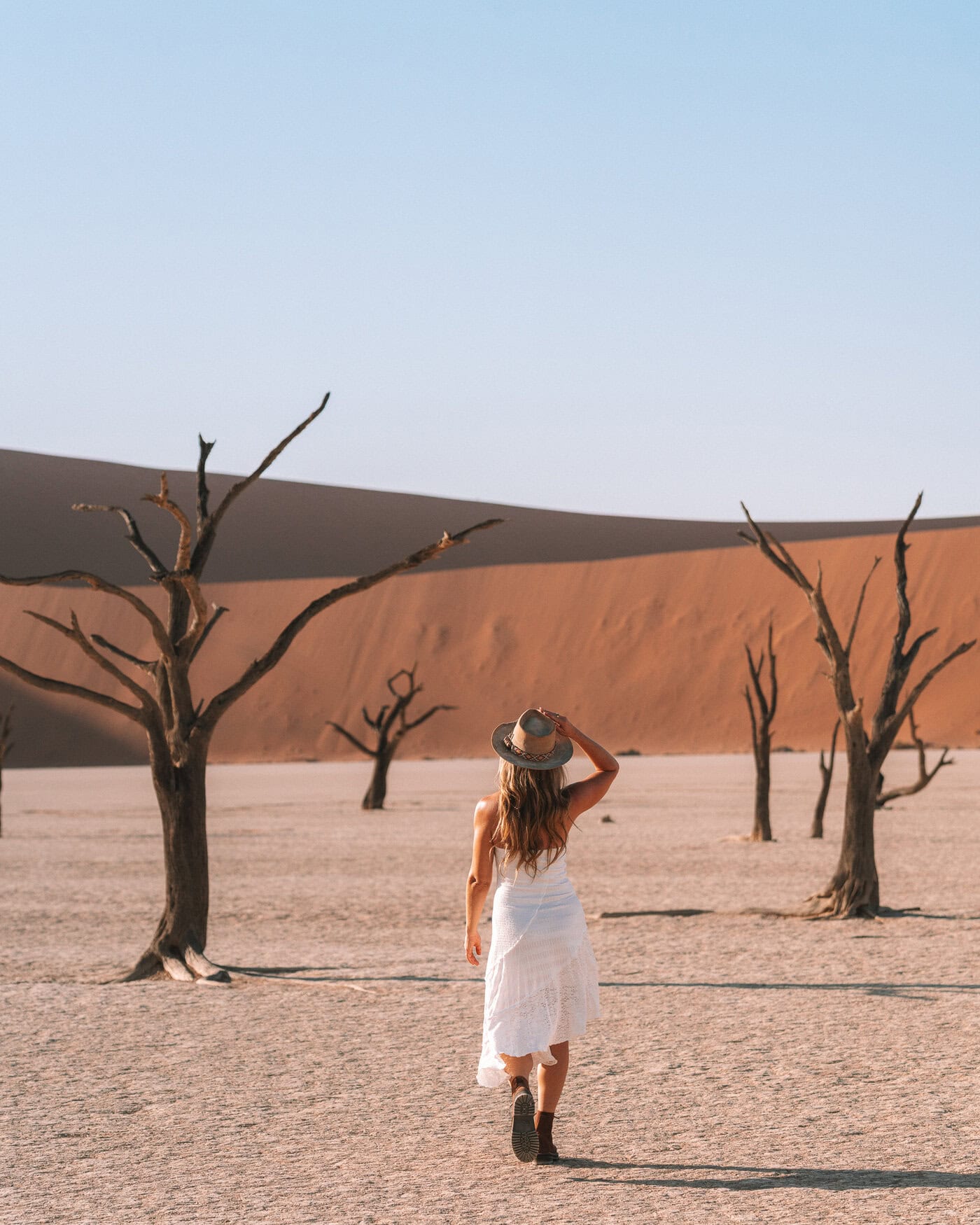 Sossusvlei Dunes Namibia: Ultimate Guide to Visiting (2025)