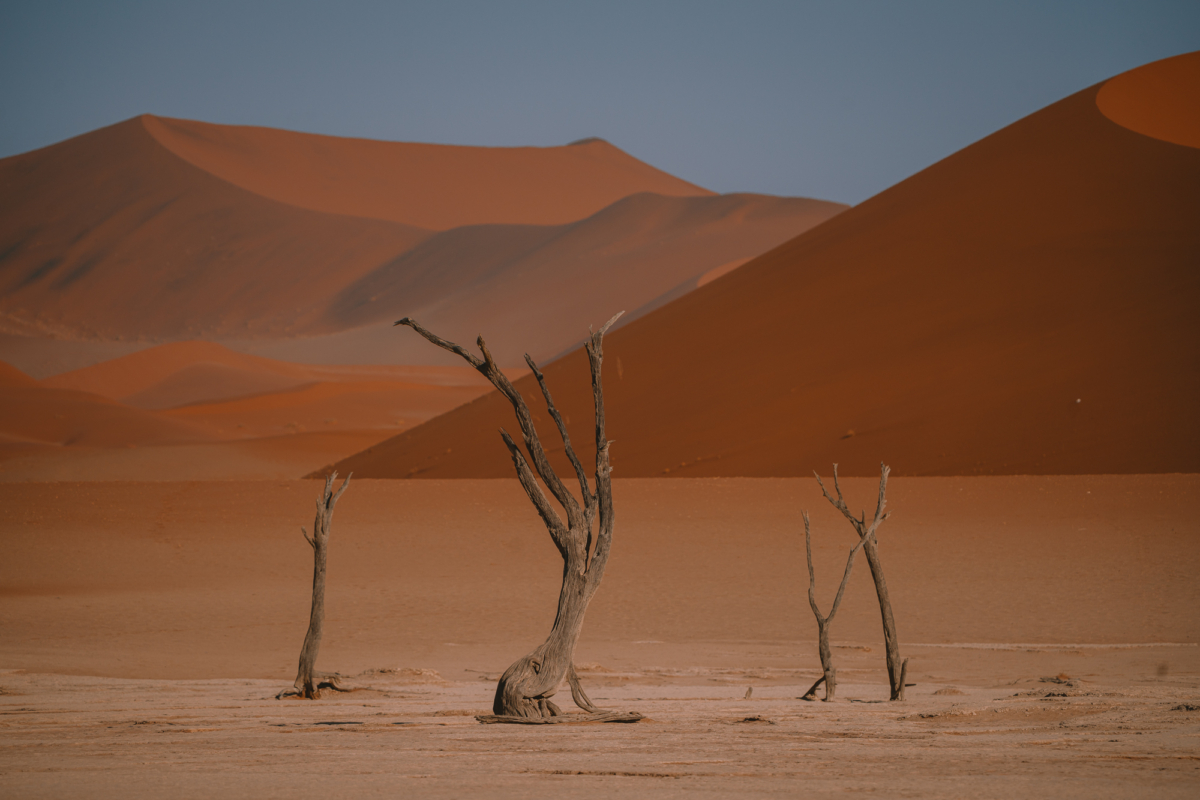 Sossusvlei Dunes Namibia: Ultimate Guide to Visiting (2025)