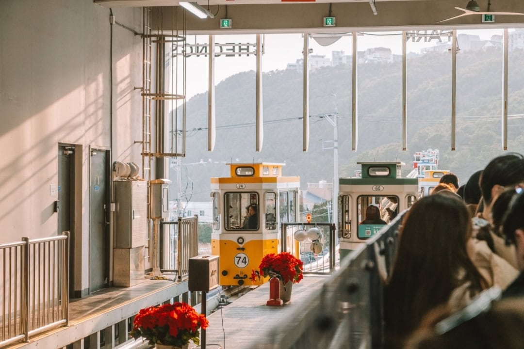 Busan Sky Capsule Guide: What to Know Before You Book