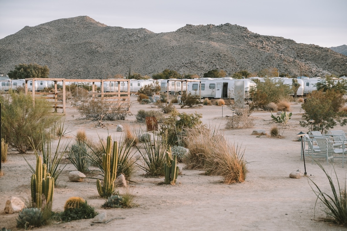 Where to Stay in Joshua Tree (2026): Hotel, Airbnb + Unique Stays