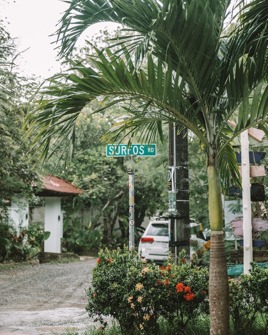 Nosara Costa Rica: A Full Guide to Everyone's Favorite Surf Town
